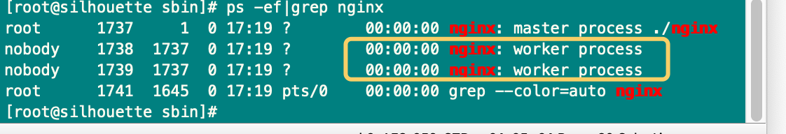 01_Nginx配置文件详解 - Silhouette's Blog